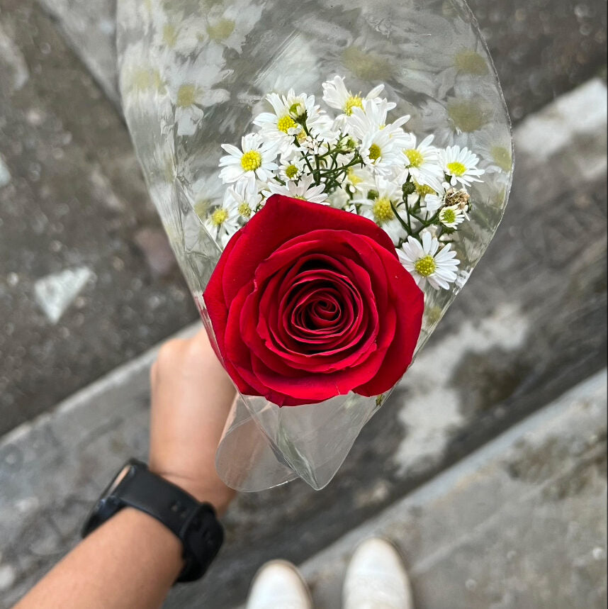 Rosas arregladas – jardinlariviera